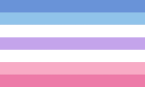 Pride Gallery/Bigender - Nonbinary Wiki