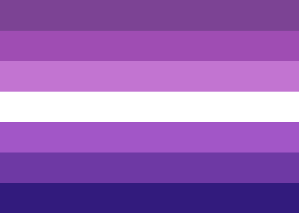 File:Femme flag by 0biz.png - Nonbinary Wiki