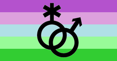 Category:Toric pride flags - Nonbinary Wiki