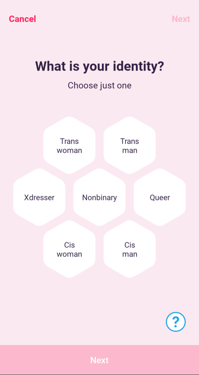 File:Fiorry identity options March 2021.png - Nonbinary Wiki